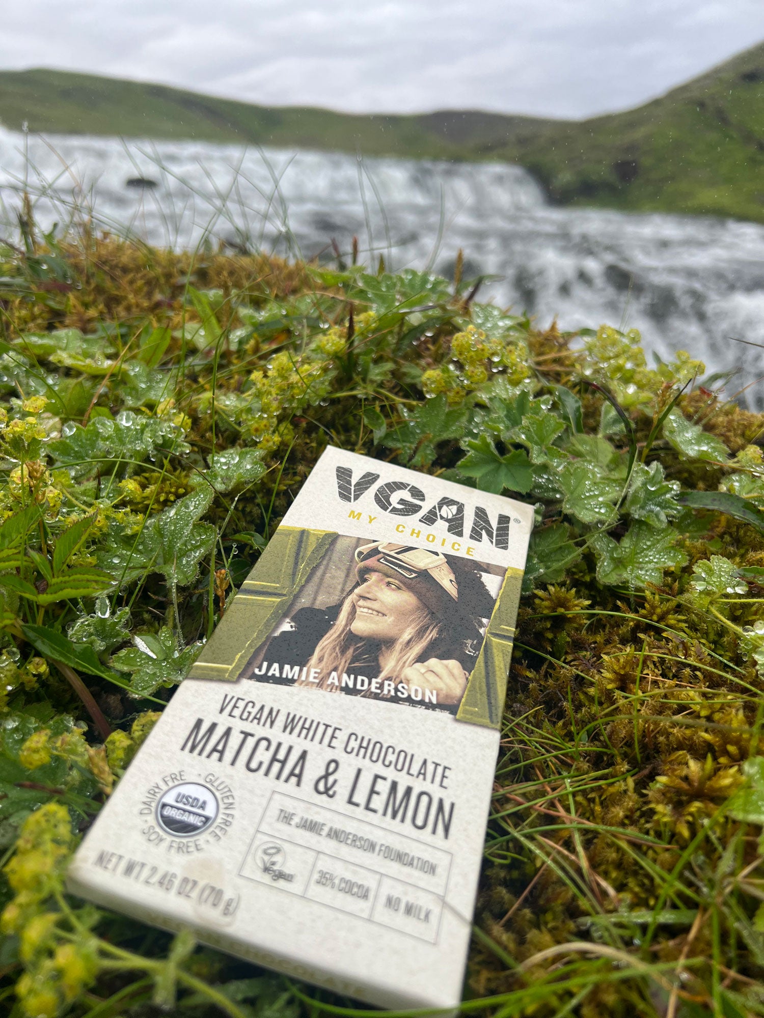 JAMIE ANDERSON – VGAN Chocolates